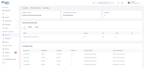 Guide To Dns Monitoring Palzin Monitor