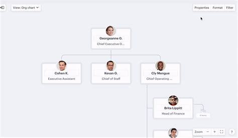 How To Add And Manage Custom Properties To Your Organizational Chart