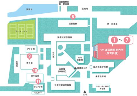 つくば国際短期大学