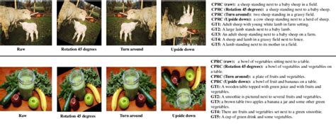 Best Viewed In Color Examples Of Captions Generated By Augmented
