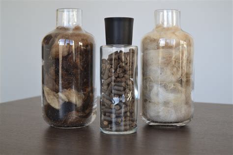 Монпеллетс бордоо нь хэт усалгаанаас үүсэж болох ургамлын үндэсний ялзралыг хамгаалах замаар