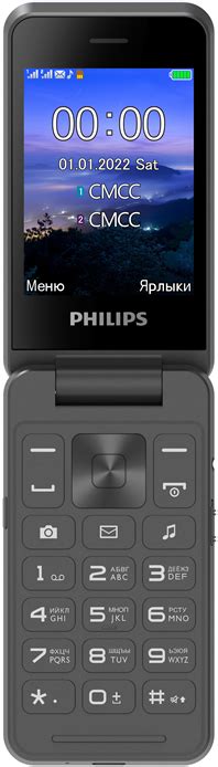 Мобильный телефон Philips Xenium E2602 Dual sim Серый: купить по цене 3 ...