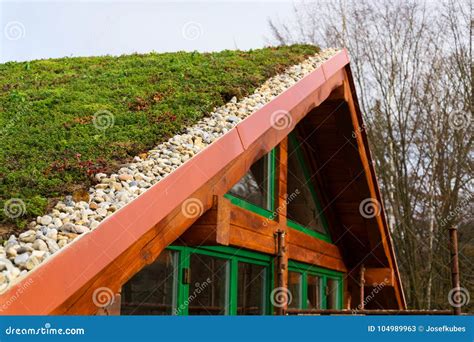 Green Living Sod Roof With Grass On Wooden Building Stock Image Image