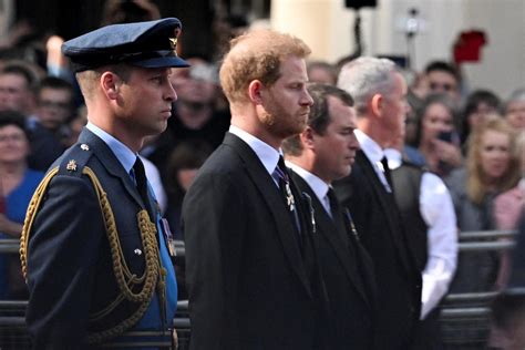 ヘンリー王子とメーガン妃、2人の子どもに王族の敬称「hrh」与えられず激怒 英サン紙報道 ハリウッド写真ニュース 日刊スポーツ