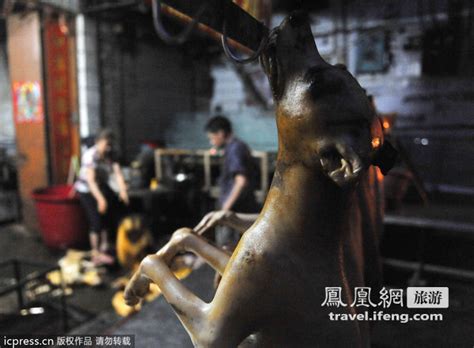 广西玉林“荔枝狗肉节”现场遭抵制旅游频道凤凰网