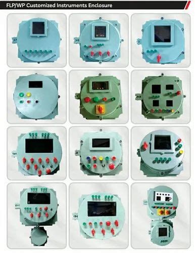 Digital Flameproof Temperature Indicator Model Name Number As Listed At Rs 1000 In Delhi