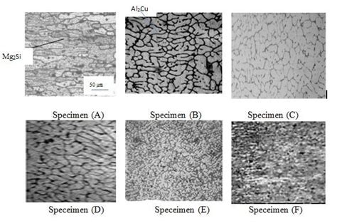 The Microstructure Of All Specimens 40x Download Scientific Diagram