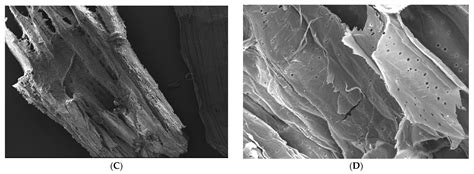 Enhancing Biogas Production Of Co Digested Cattle Manure With Grass Silage From A Local Farm In