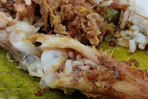 Ada Belatung Hidup Di Makanan Yang Dipesan Pria Ini Lewat Ojol