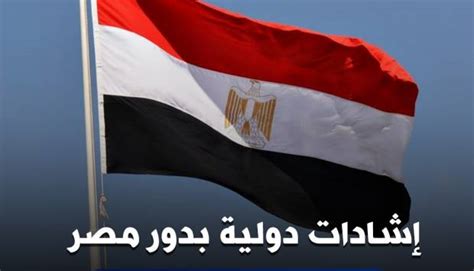 إشادات دولية بدور مصر في القضية الفلـسطينية إنفوجراف مبتدا