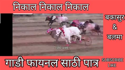 बैलगाडा शर्यत सेमी फायनल 6 बकासुर आणि बलमा Bailgadasharyat