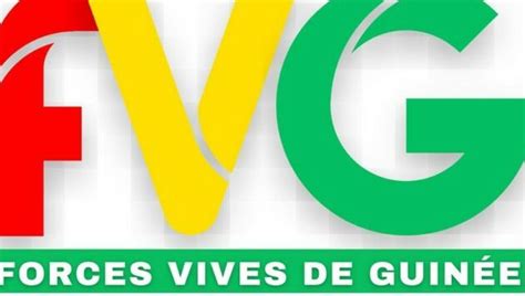 Guinée une journée ville morte appelée par les forces vives