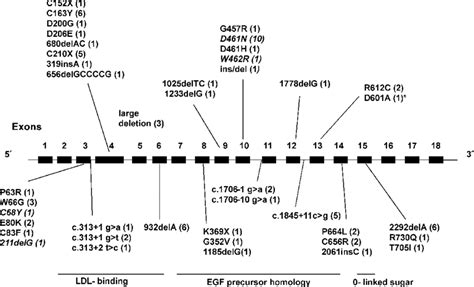 Diagram Showing Where The Identified Mutations Occurred In The Ldlr