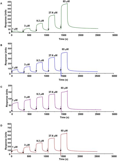 Surface Plasmon Resonance Analysis Of The Interaction Of Clfb With Download Scientific Diagram