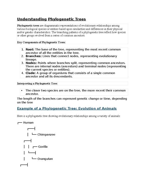 Phylogenetic Tree Explanation Understanding Phylogenetic Trees