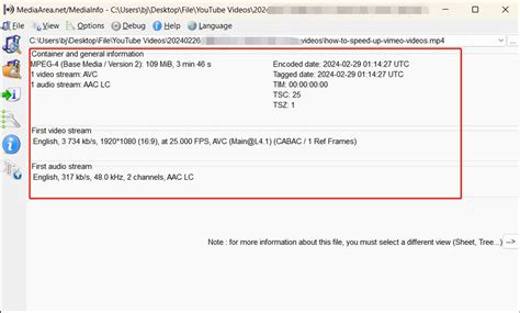 Complete Guide On How To Check Codec Of Video File