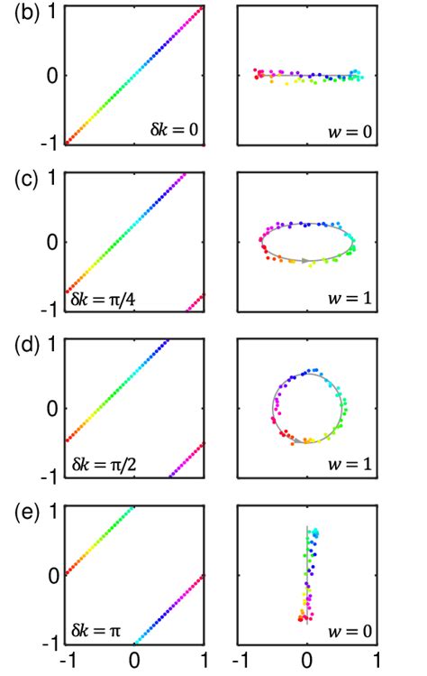 Observation Of The Properties Of Point Gap Topology Of The