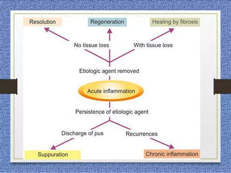 Morphology Of Acute Inflammation Ppt