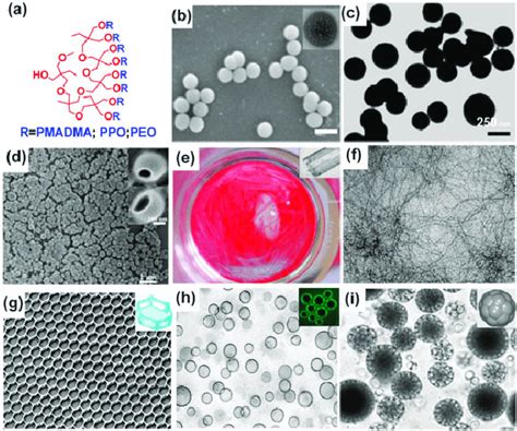 Various Self Assembled Structures From 0 To 3d By The Hps A 0d