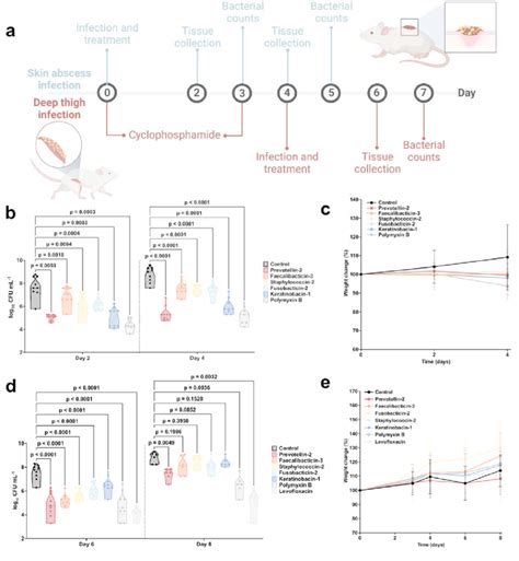 anti infective activity of smorf encoded peptides seps in