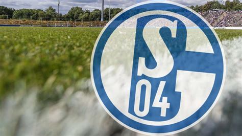 Schalke 04 Lässt Spezial Rasen Verlegen Neuerung Bietet Drei Vorteile