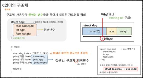 C 10 C언어 구조체