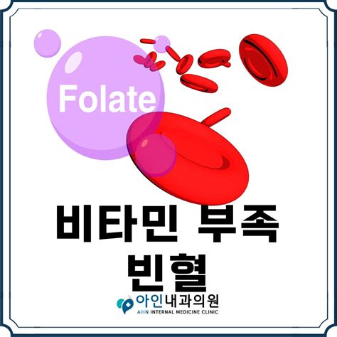 비타민 B12결핍 빈혈