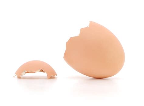 Premium Photo Egg Shell Isolated