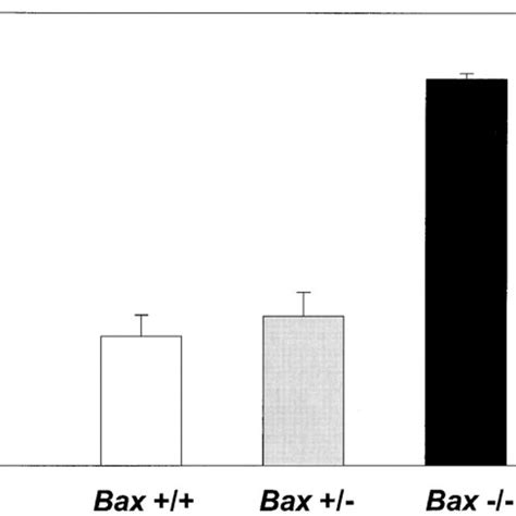 Inhibition Of Pi 3 K Does Not Induce Apoptosis In Bax −− Granule