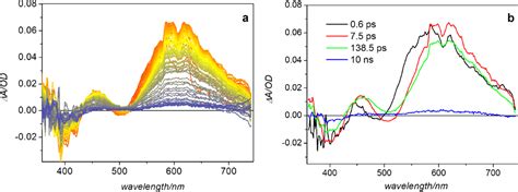 Bjoc Ultrafast Processes Triggered By One And Two Photon Excitation Of A Photochromic And
