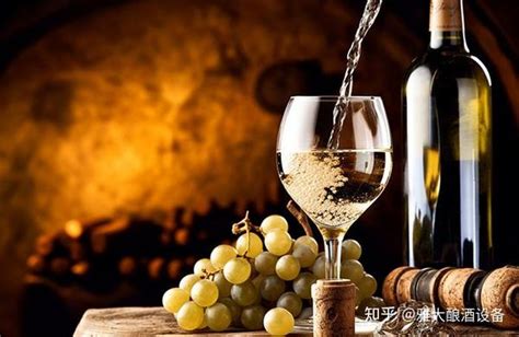 白葡萄酒酿造工艺流程 知乎