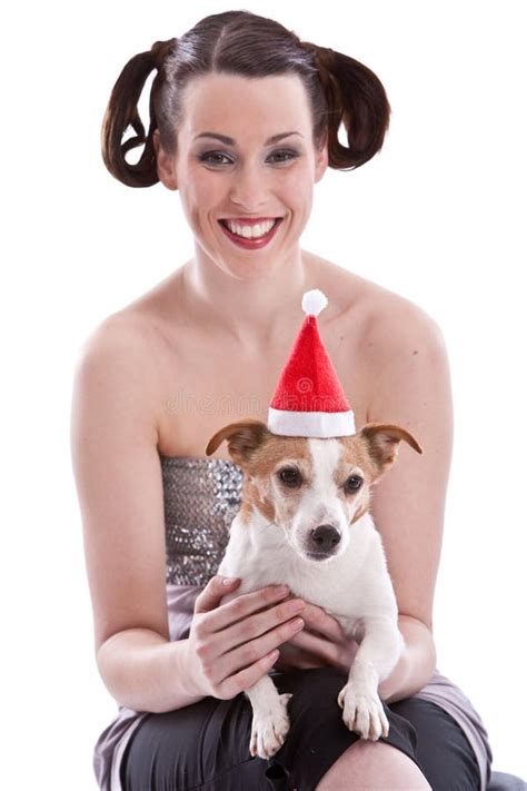 Anything For The Boss Stock Image Image Of Smiling Pedigree 7600619