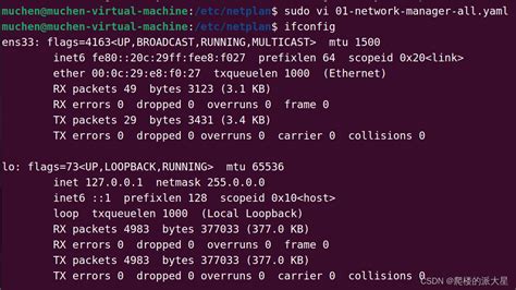 linux避坑笔记一：ubuntu突然没网，系统中的ens33网卡配置文件被删除，如何重新配置？ ubuntu ens33 csdn博客