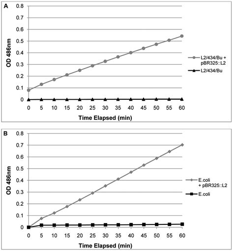 Purified Transformed Rbs Have β Lactamase Activity In Panel A Equal