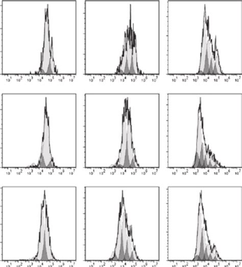 Mirna Deficient Nk Cells Exhibit Defective Survival And Proliferation
