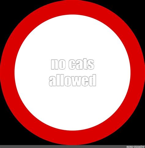 Комикс мем No Cats Allowed Комиксы Meme