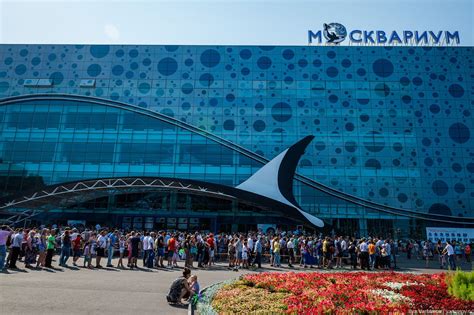 Не ходите в "Москвариум"! — Teletype
