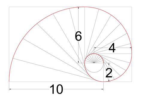 聊一聊斐波那契螺旋 知乎
