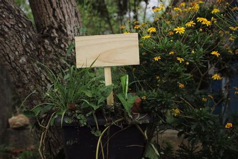 Placa Identificação De Jardim Ou Horta Madeira R 4 50 em Mercado Livre