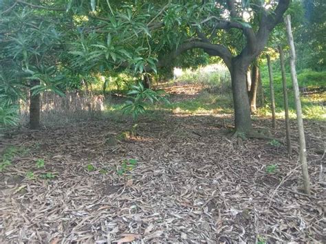 Lotes y Terrenos Usulután venta Terreno en usulutan USD 27000 00