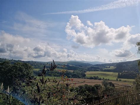 TCL 50 SE Review What Gadget