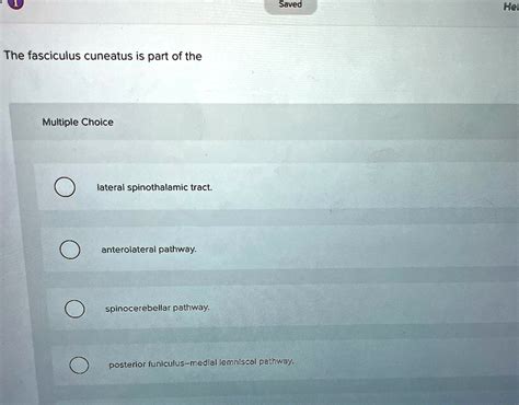 The Fasciculus Cuneatus Is Part Of The Multiple Choice Lateral