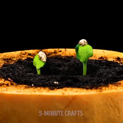 Diy Garden Ideas 5 Minute Crafts Deco Recourse