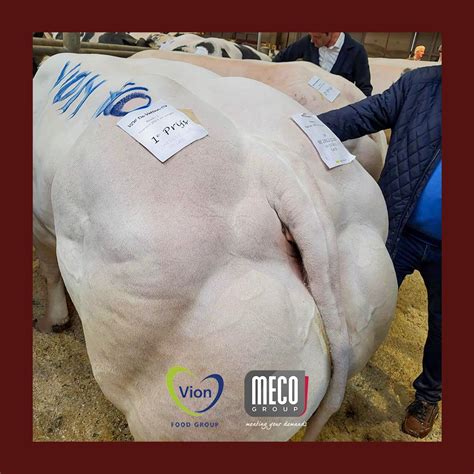 Vionfoodgroup Fatih Turgut