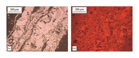 Microscopic Observations Under Plane Polarized Transmitted Light 1