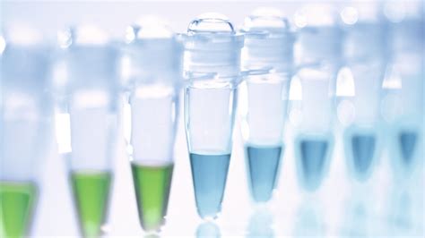 Quantinova Sybr Green Pcr Kit P 100 Reações Labcompany