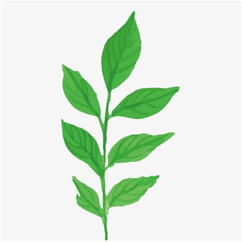 벡터 새파랗다 그린 일러스트 Png 벡터 새파랗다 녹색 잎이 풀잎아 이미지 벡터 Psd 파일 Pngtree 나뭇잎