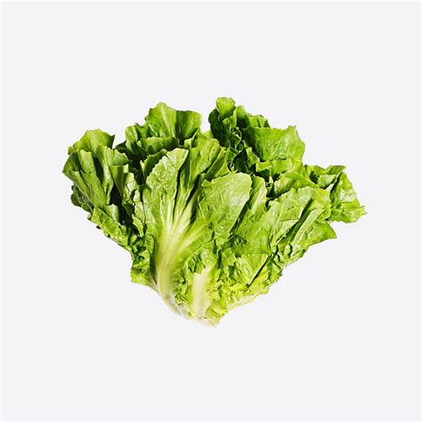 What Is Escarole Anyway Bon Appétit