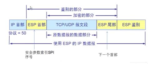计算机网络笔记 7网络安全网络安全七个方面 Csdn博客