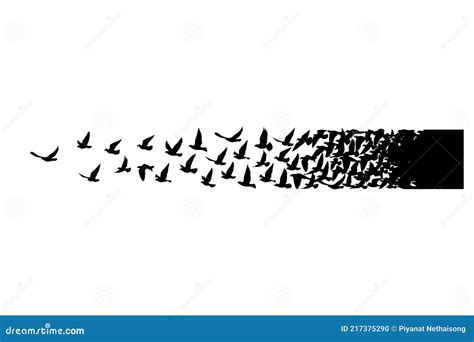 Flying Birds Silhouettes On White Background Vector Illustration